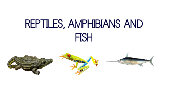 REPTILES, AMPHIBIANS AND FISH