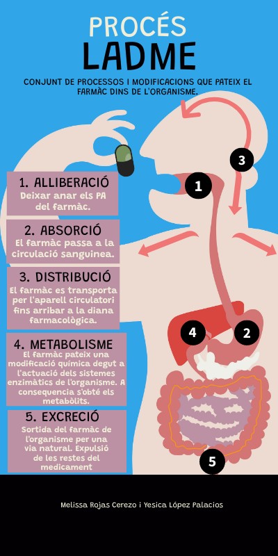 INFOGRAFIA LADME