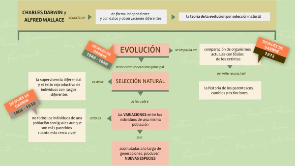 Darwin - Clase 3 - mapa conceptual
