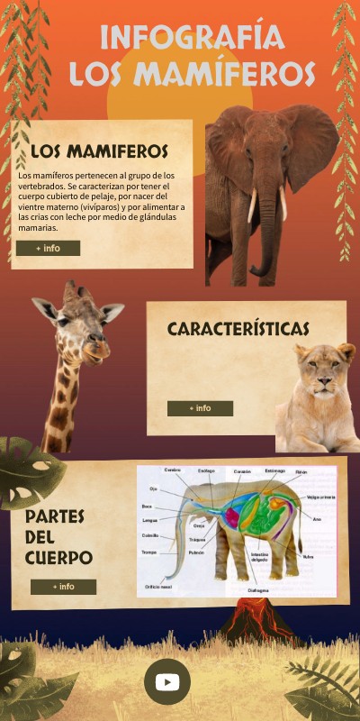 INFOGRAFÍA LOS MAMIFEROS