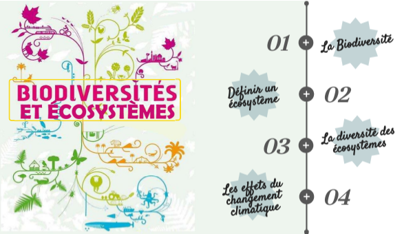 Biodiversité et écosystème