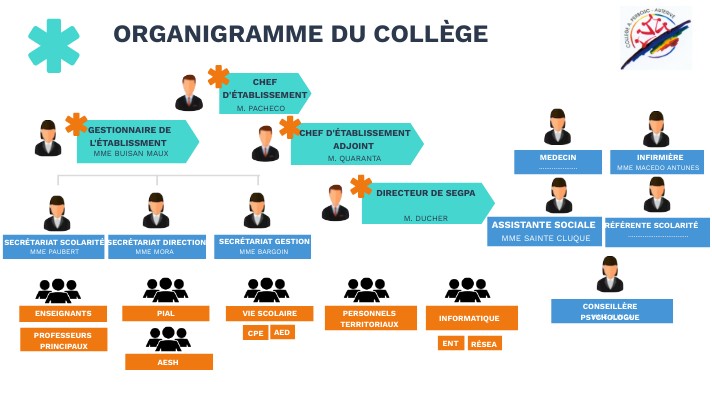 organigramme college