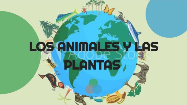 ANIMALES Y PLANTAS