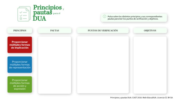(5.1.) - Principios y pautas para el DUA