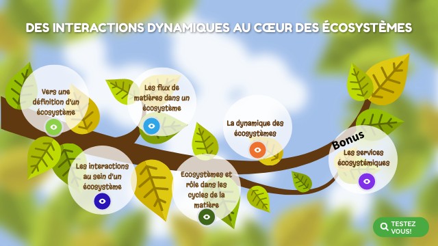 Th2 DES INTERACTIONS DYNAMIQUES AU CŒUR DES ÉCOSYSTÈMES