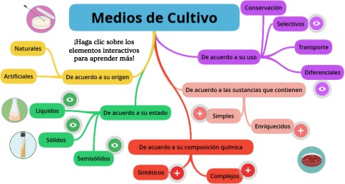 Clasificación de los medios de cultivo
