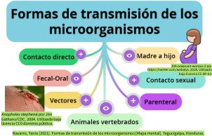 Formas de transmisión de los microorganismos