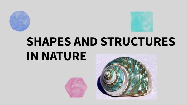 SHAPES AND STRUCTURES IN NATURE