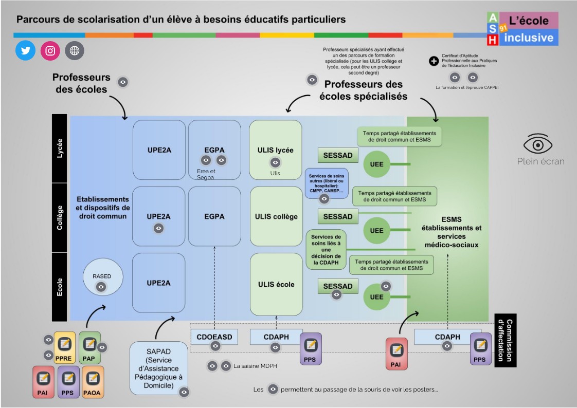Parcours de scolarisation d'un EB