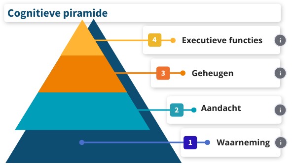 Cognitieve piramide