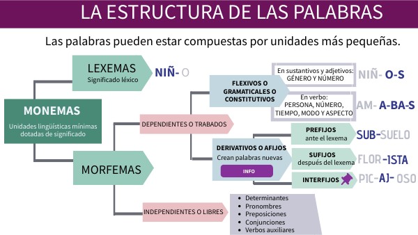 La estructura de las palabras