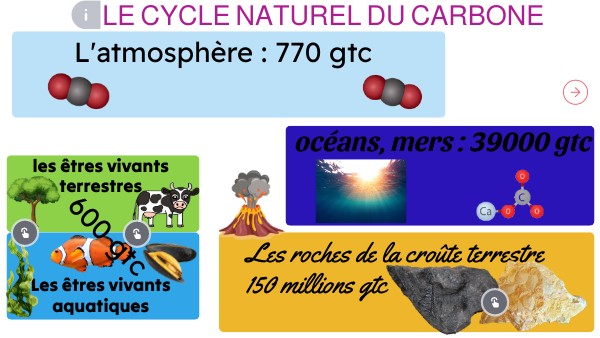 le cycle naturel du carbone