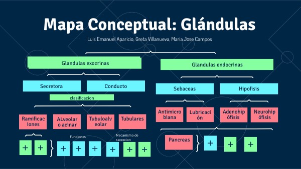 MAPA CONCEPTUAL Glandulas