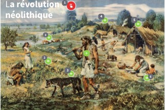 La Révolution néolithique- 6ème
