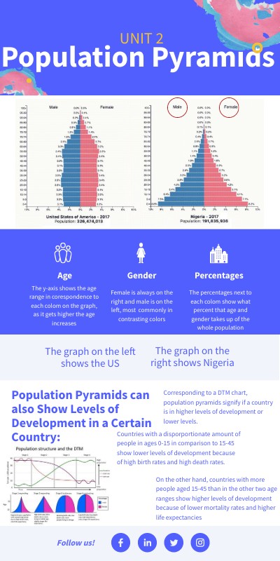 Population Pyramid Infographic