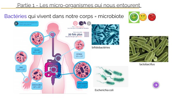 3eme -Chapitre 6- Séance 1-microbes