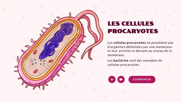 PARTIES DE LA CELLULE PROCARYOTE