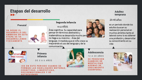 ETAPAS DEL DESARROLLO