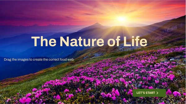 The Nature of Life