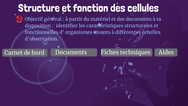 2de TP cellules spécialisées