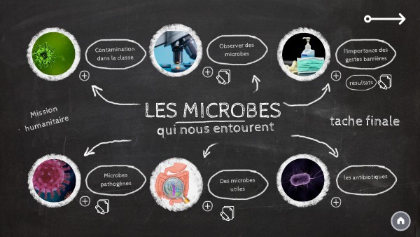 Les microbes qui nous entourent
