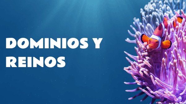 Reinos y dominios