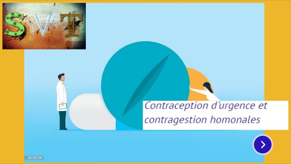 contraception et contragestion