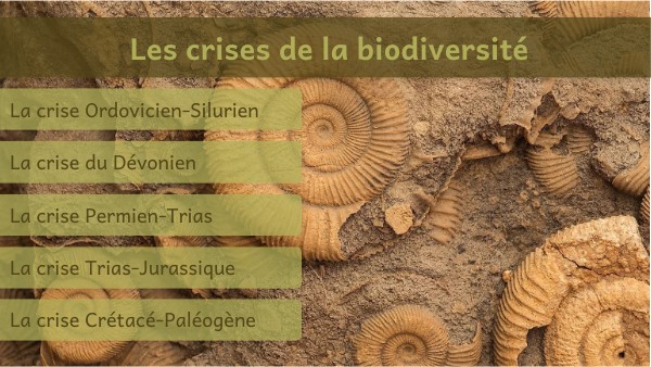 Les 5 Crises Biologiques | Chtoby Pomnili