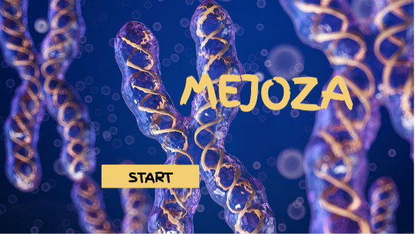 MEJOZA