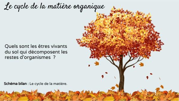 3. Le cycle de la matière organique
