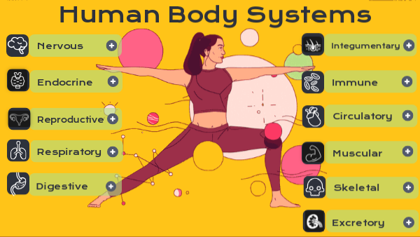 Body Systems