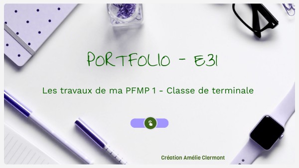 Portfolio - E31 - Classe de terminale MCVA - 2023