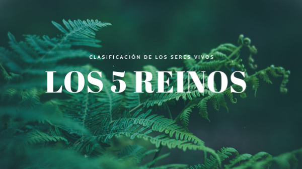 LOS CINCO REINOS. INFOGRAFÍA