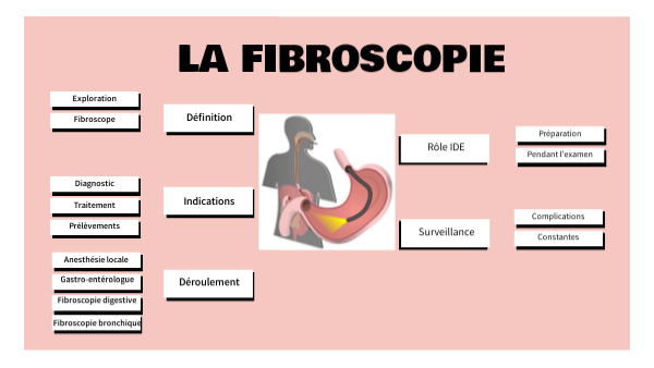 Différence Entre Fibroscopie Et Togd – EBJS