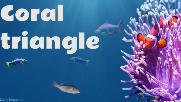 Coral Triangle