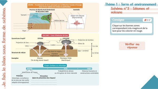 SVT Cycle 4 - Schéma 3