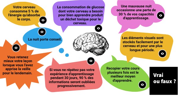 Cerveau et apprentissage