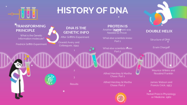 History of DNA