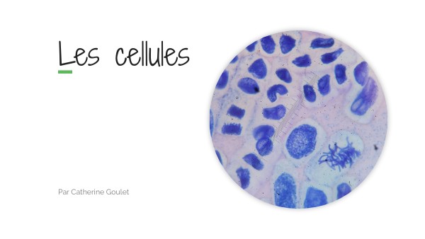 Les cellules