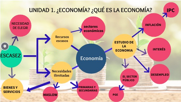 UNIDAD 1. ¿QUÉ ES LA ECONOMÍA?