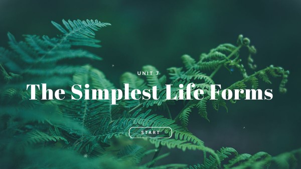 The Simplest Life Forms 2.0