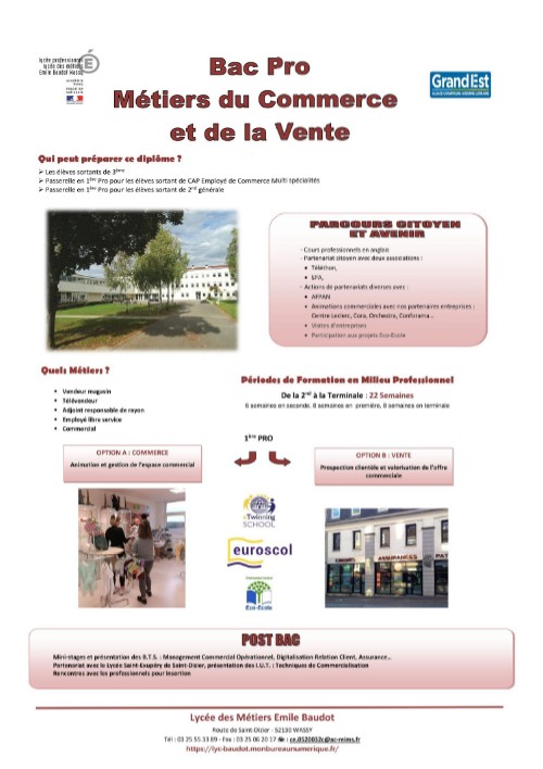 bac pro commerce fiche