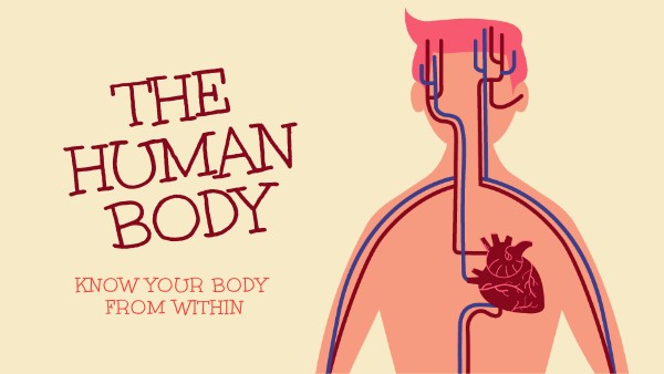 Know Your Body Anatomy