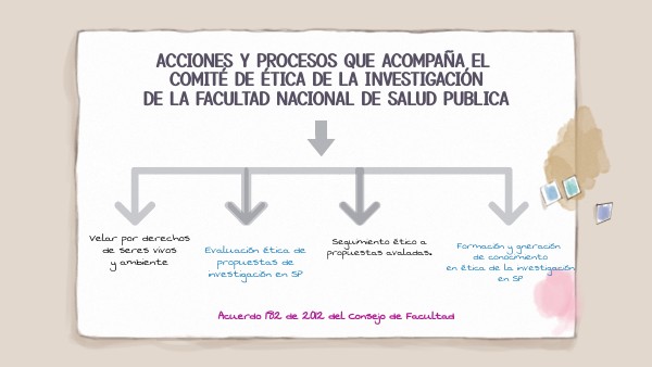 Actividades Y Procesos Que Acompaña El Cei