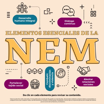 EHDE U1T2 Elementos NEM