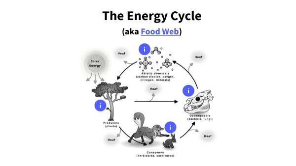 7thSci Energy Cycle (Windowed)