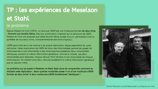 PDF Introduction à EaselJS - lycée Beaussier - Anciens Et Réunions PDF ...