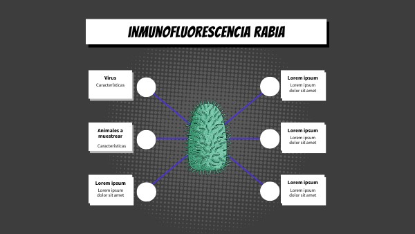 inmunofluorescencia rabia