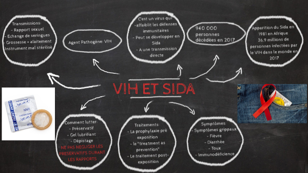 carte mentale sur le vih