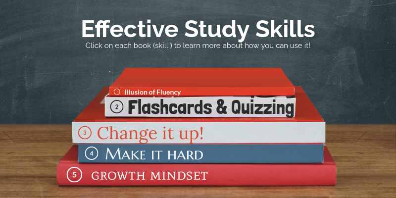 Effective Study Skills